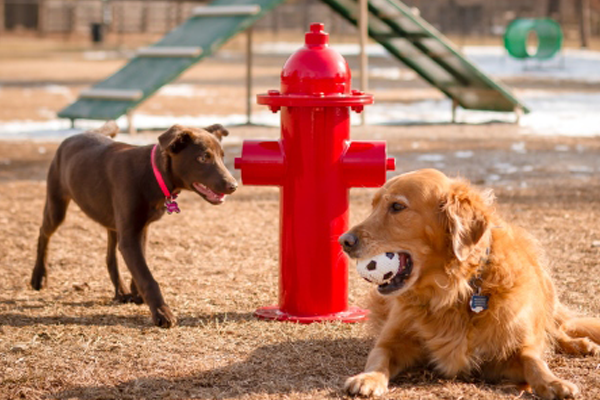 Fire Hydrant - Adventure Playground