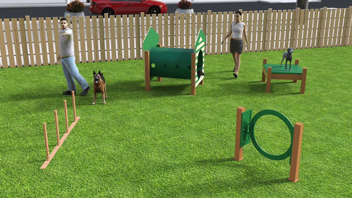 Dog Agility Course