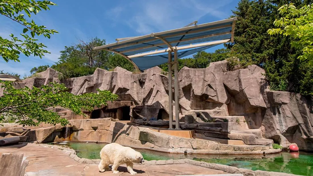 Shade Structures For Zoos | Adventure Shade Structures