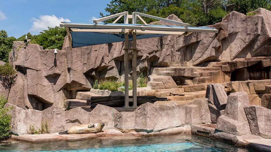 Shade Structures For Zoos | Adventure Shade Structures